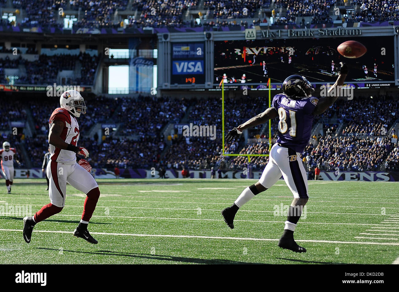 Arizona cardinals receiver anquan boldin hi-res stock photography and ...