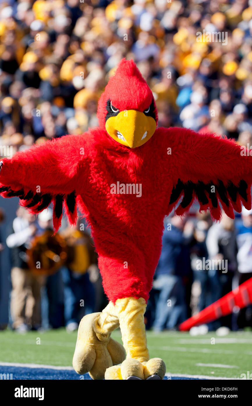 Louisville University Mascot
