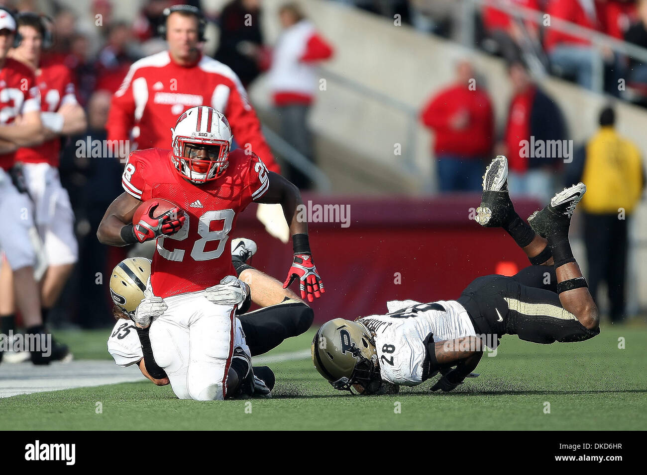 Nov. 5, 2011 - Madison, Wisconsin, U.S - Wisconsin running back Montee ...