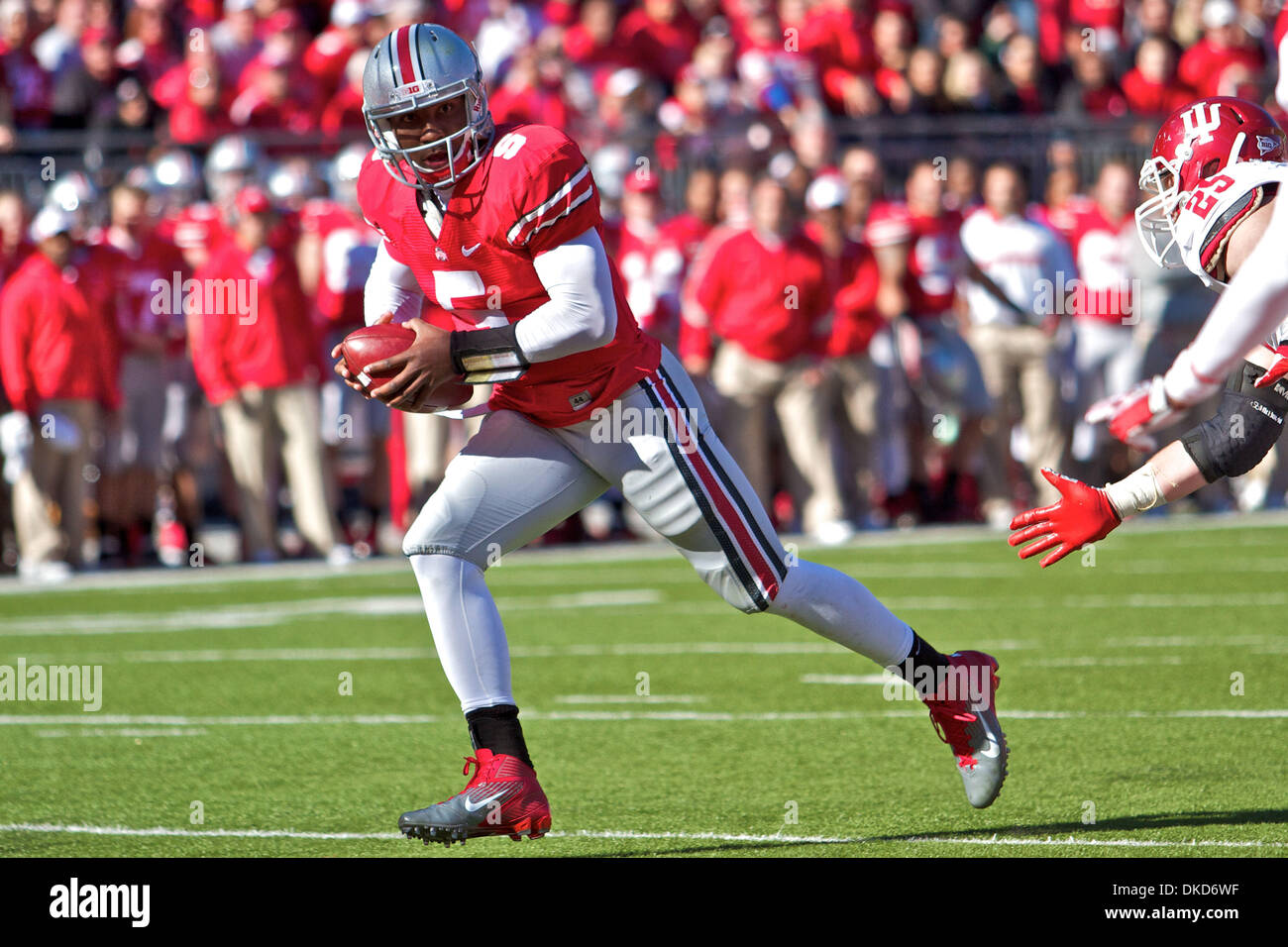 Phillis ryan hi-res stock photography and images - Alamy