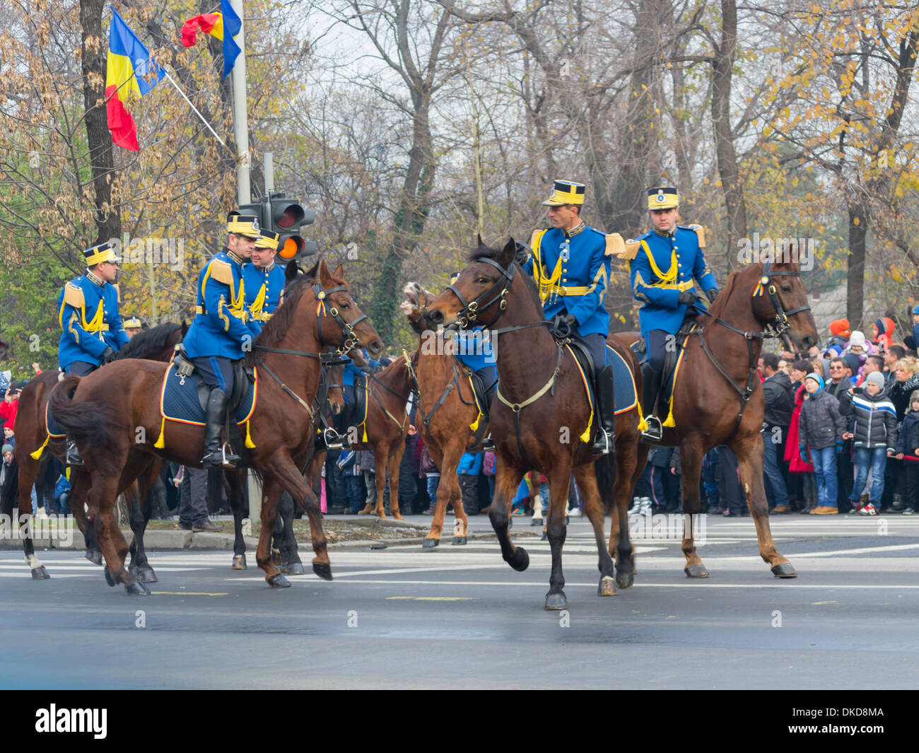 Romanias horse hi-res stock photography and images - Alamy