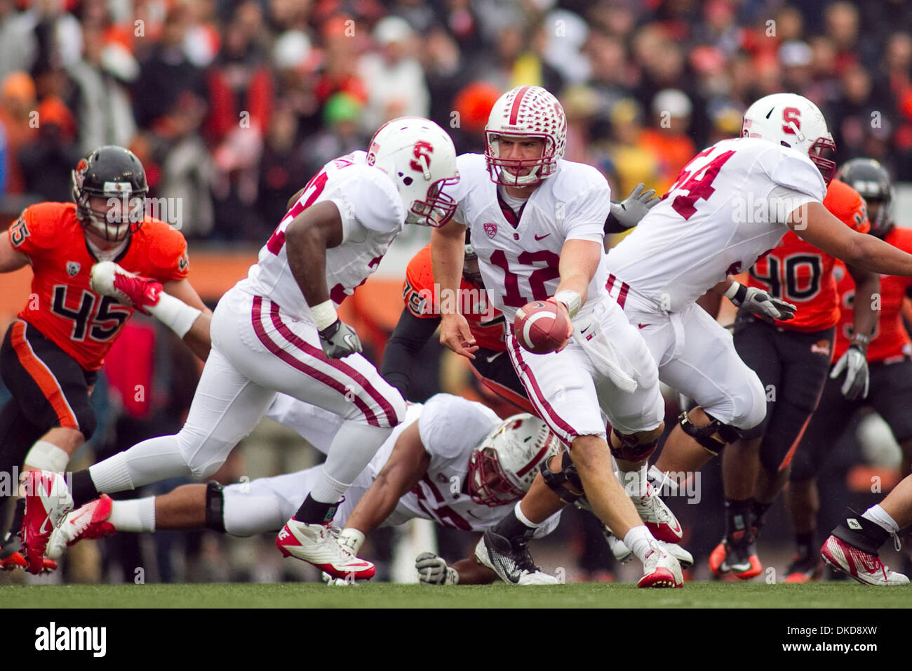 The standford cardinal hi-res stock photography and images - Alamy