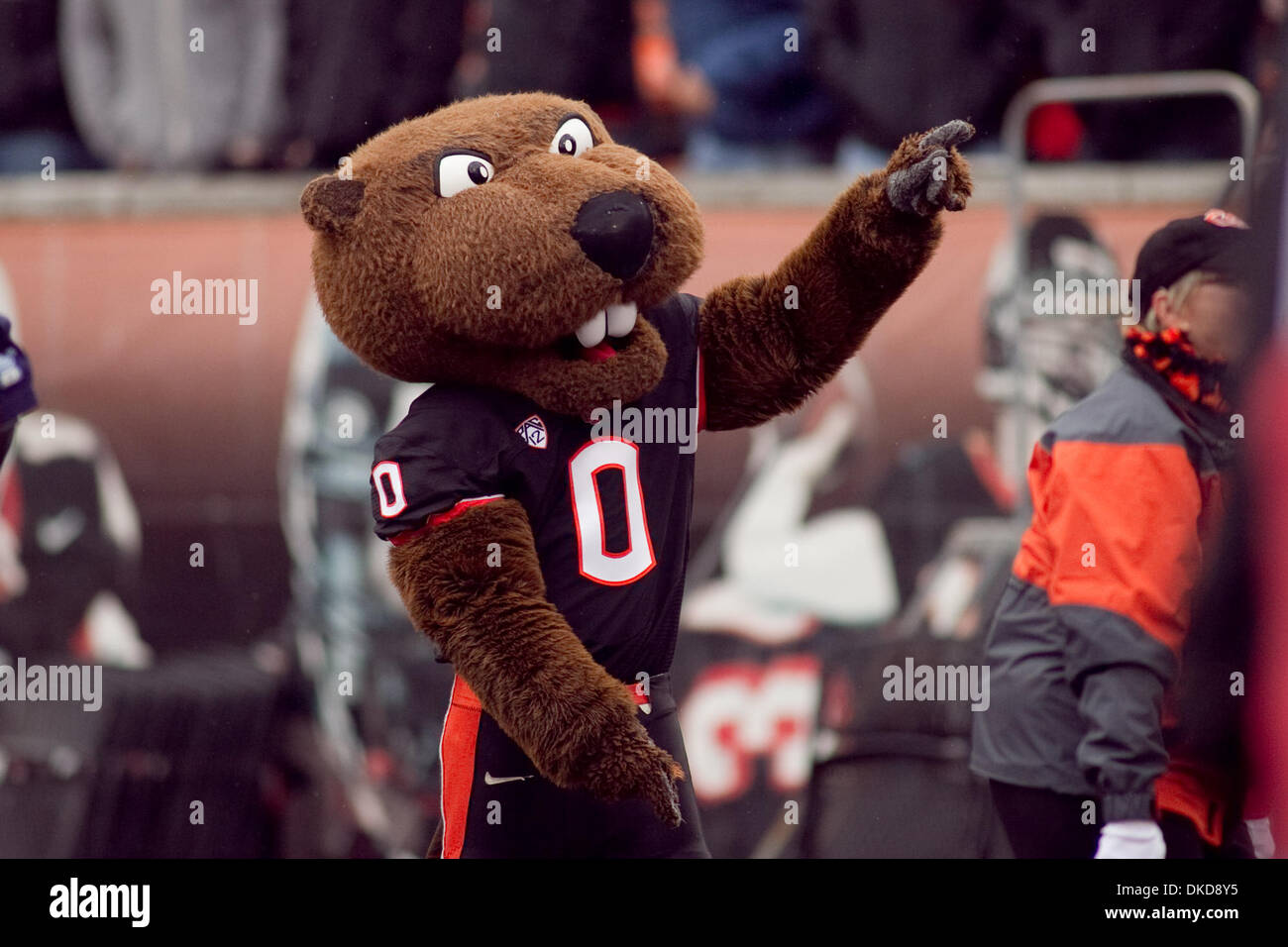 Benny beaver hi-res stock photography and images - Alamy