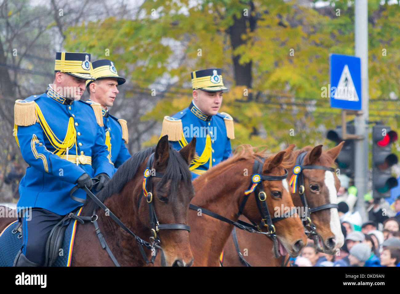 Romanias horse hi-res stock photography and images - Alamy