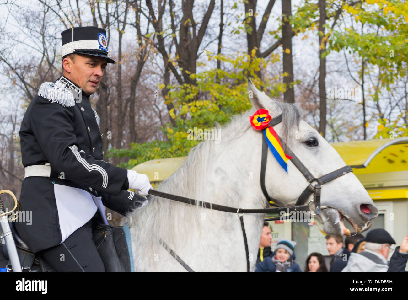 Romanian Gendarmery Horse Patrol - December 1st, Parade on Romania's ...