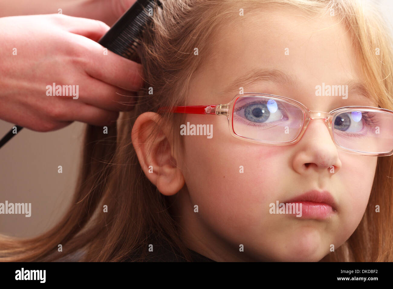 Kid by hairstylist. Hairdresser with comb combing hair of little girl in eyeglasses. Child in ...