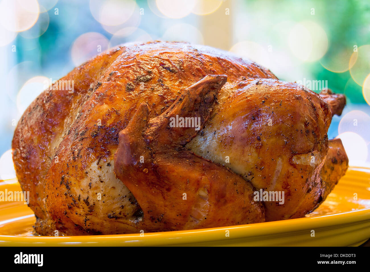 Biggest Cooked Turkey In The World