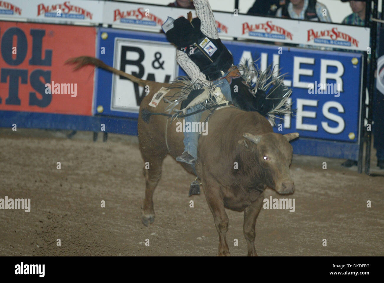 Jan 06, 2007 - Las Vegas, NV, USA - A cowboy competes at The South ...