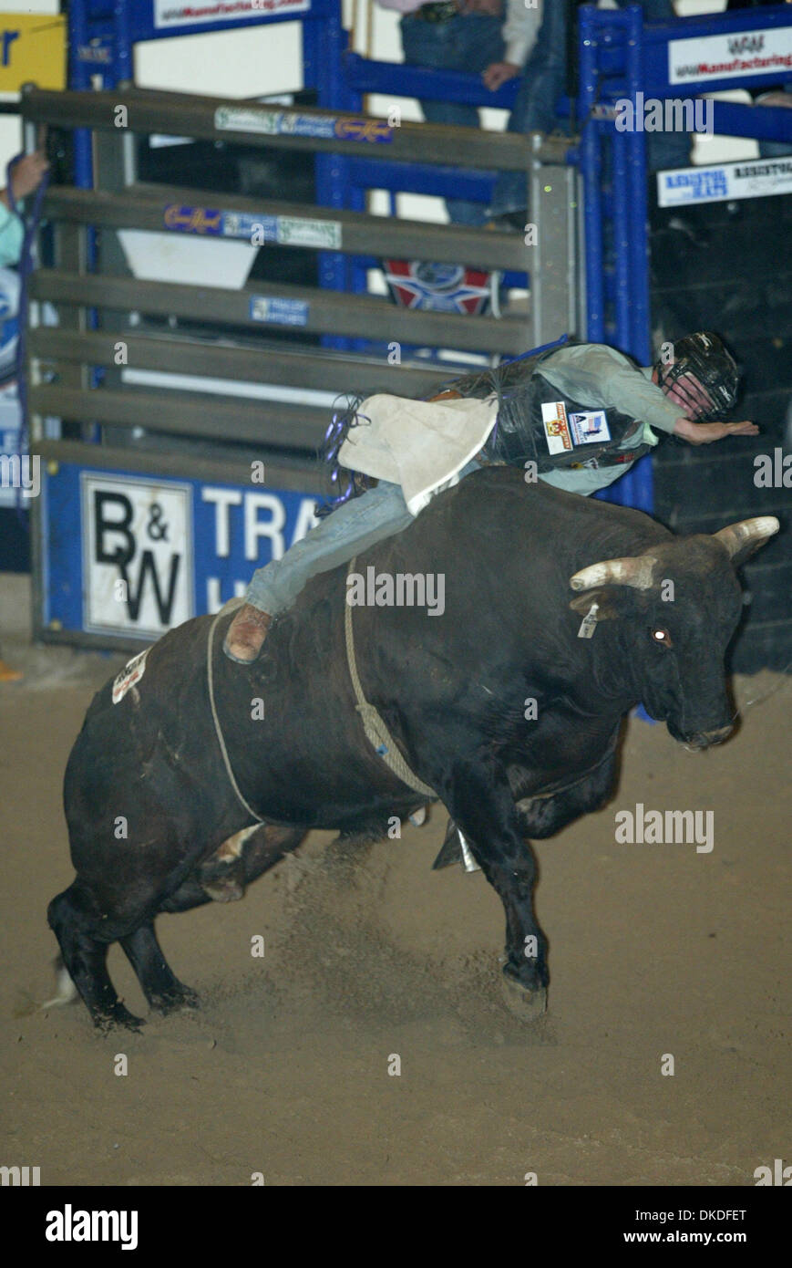 Jan 06, 2007 - Las Vegas, NV, USA - A cowboy competes at The South ...