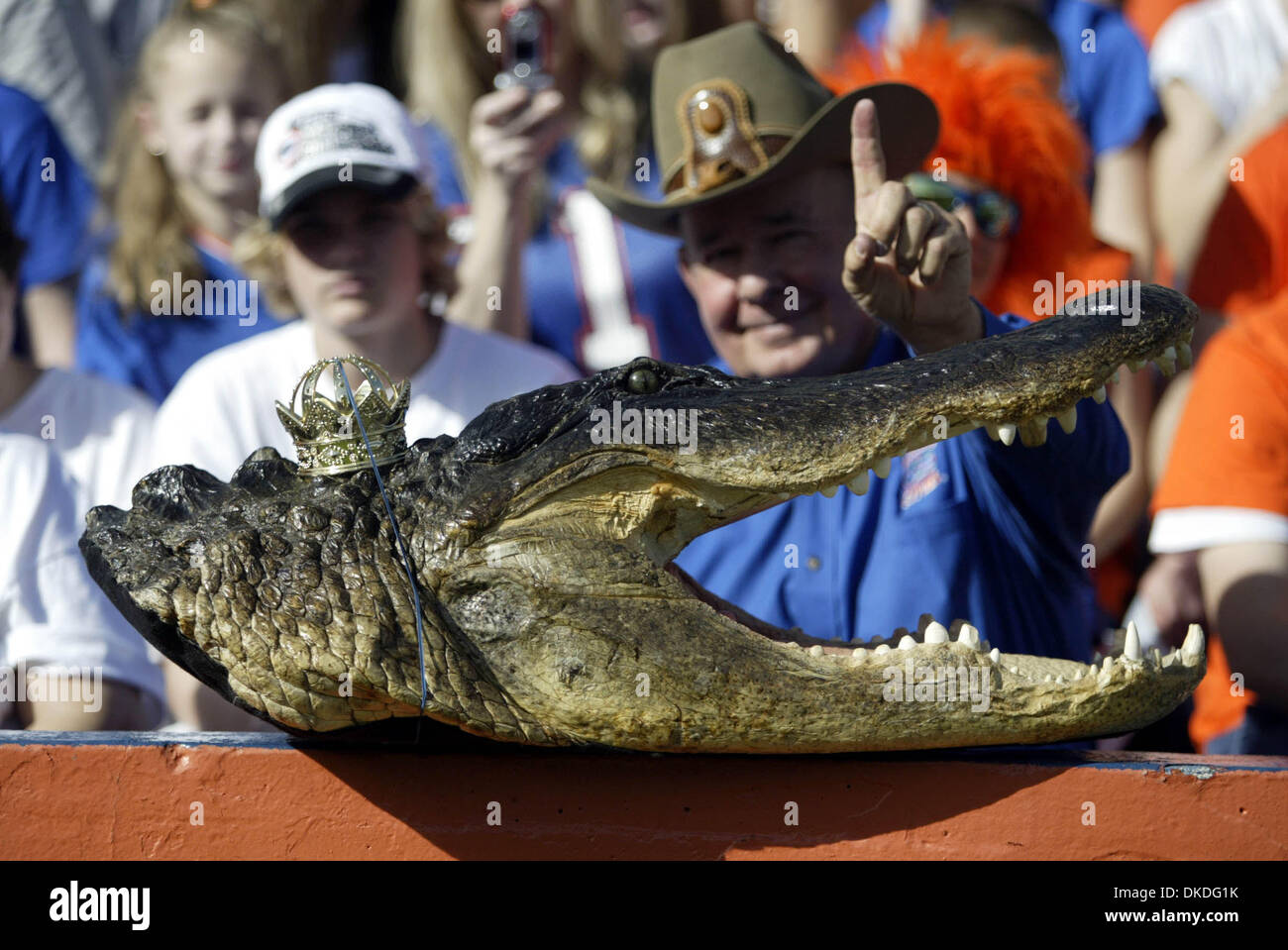 University of florida gators fans hi-res stock photography and images ...