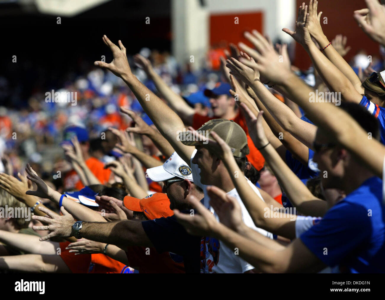 University of florida gators fans hi-res stock photography and images ...