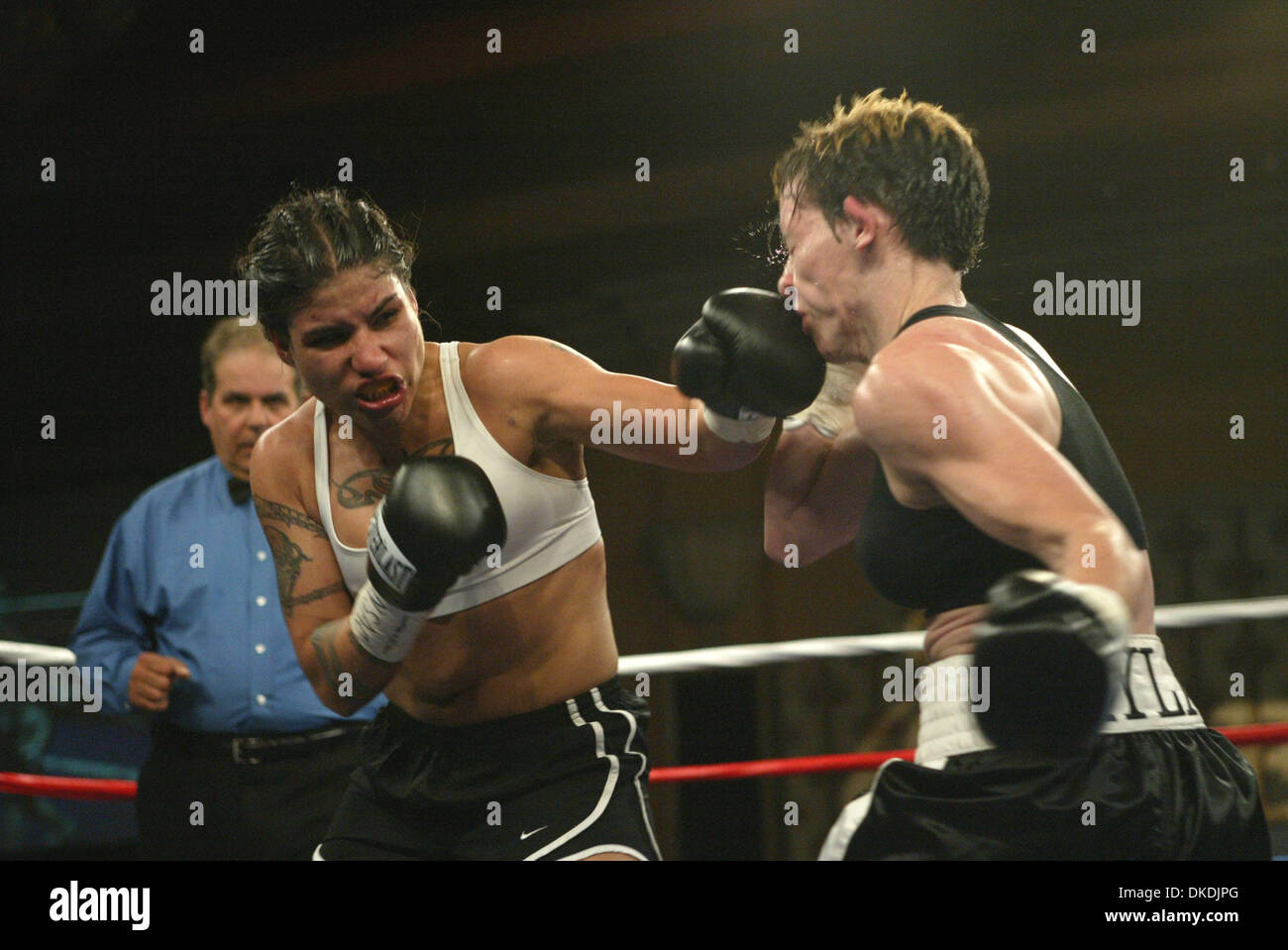 Sectioned box hi-res stock photography and images - Alamy