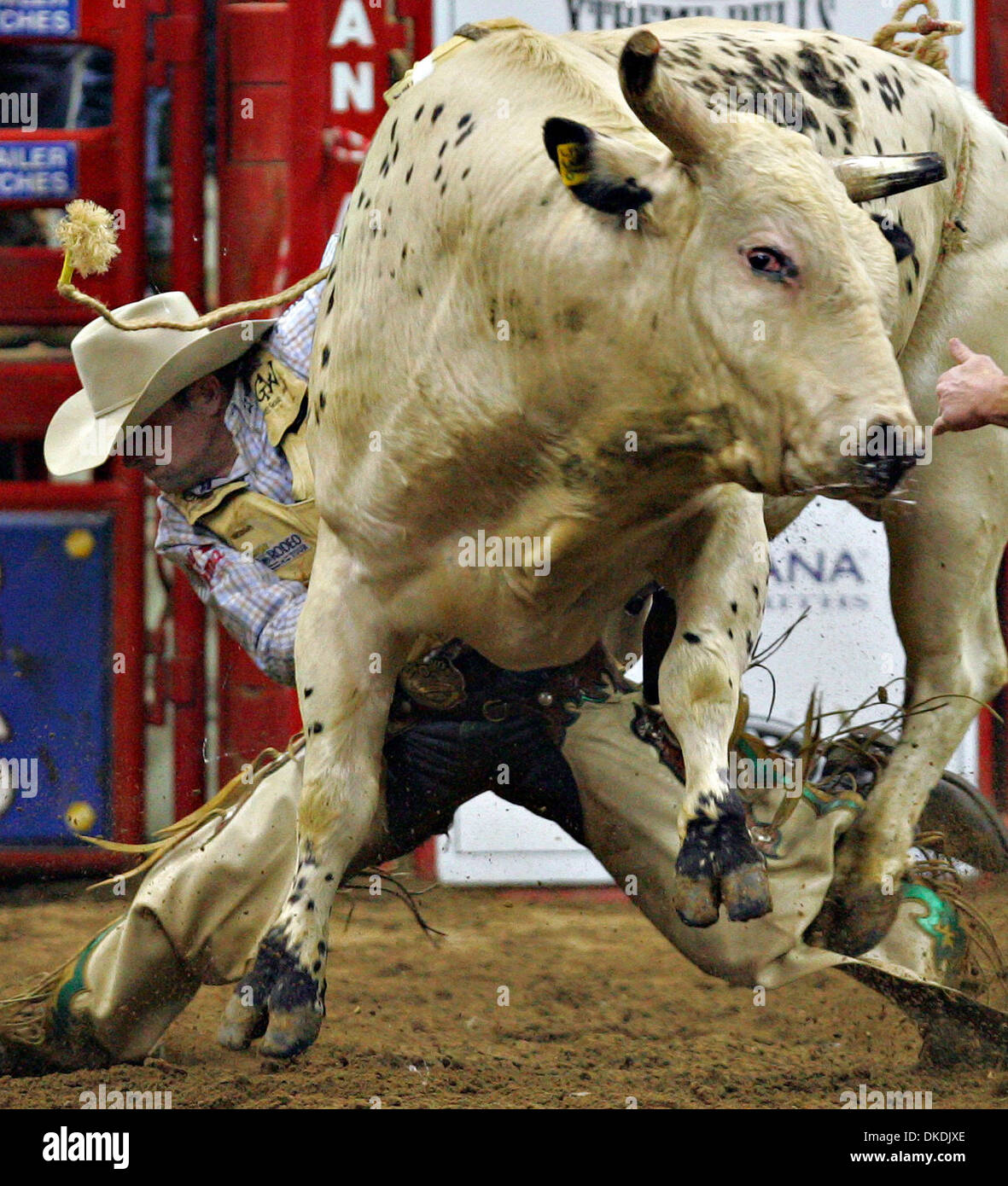 Low rider competition usa hi-res stock photography and images - Alamy