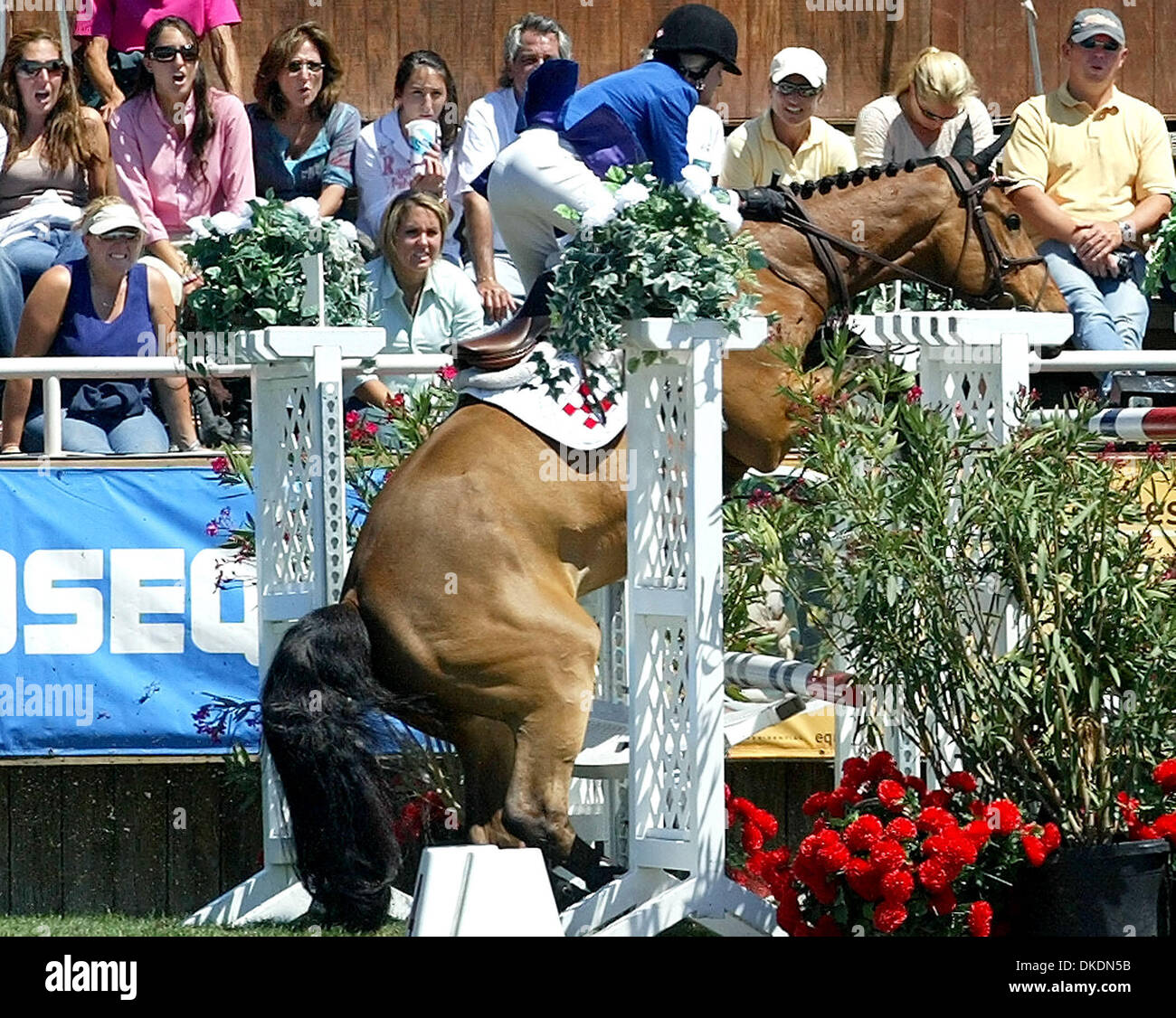 Show Jumping Jumps