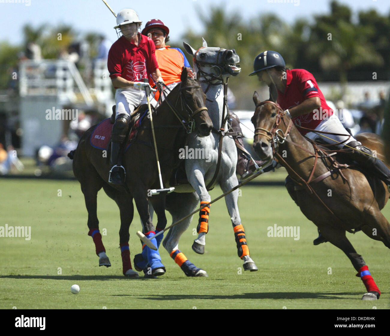 Polo Sport Wallpaper