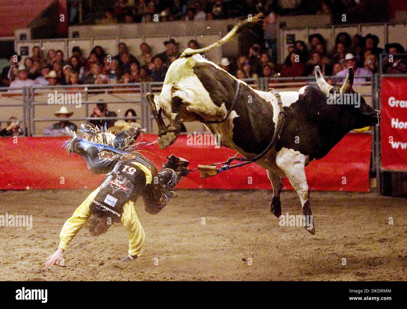 Matt Werries is thrown off his bull during Professional Bull Riding ...