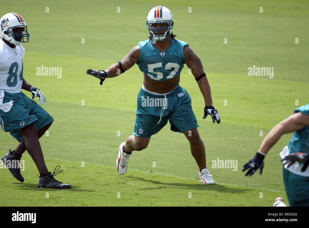 Channing crowder dolphins hi-res stock photography and images - Alamy