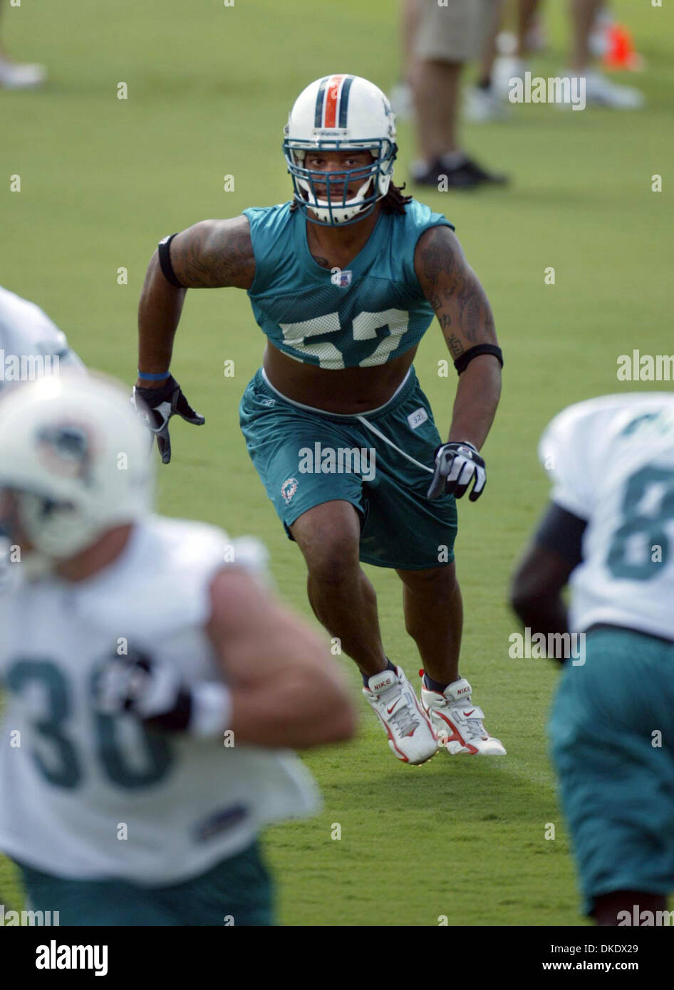 Channing crowder dolphins hi-res stock photography and images - Alamy