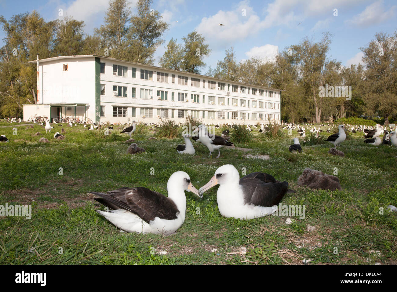 Bravo barracks built in 1957-1958 for pilots and crew of Distant Early ...