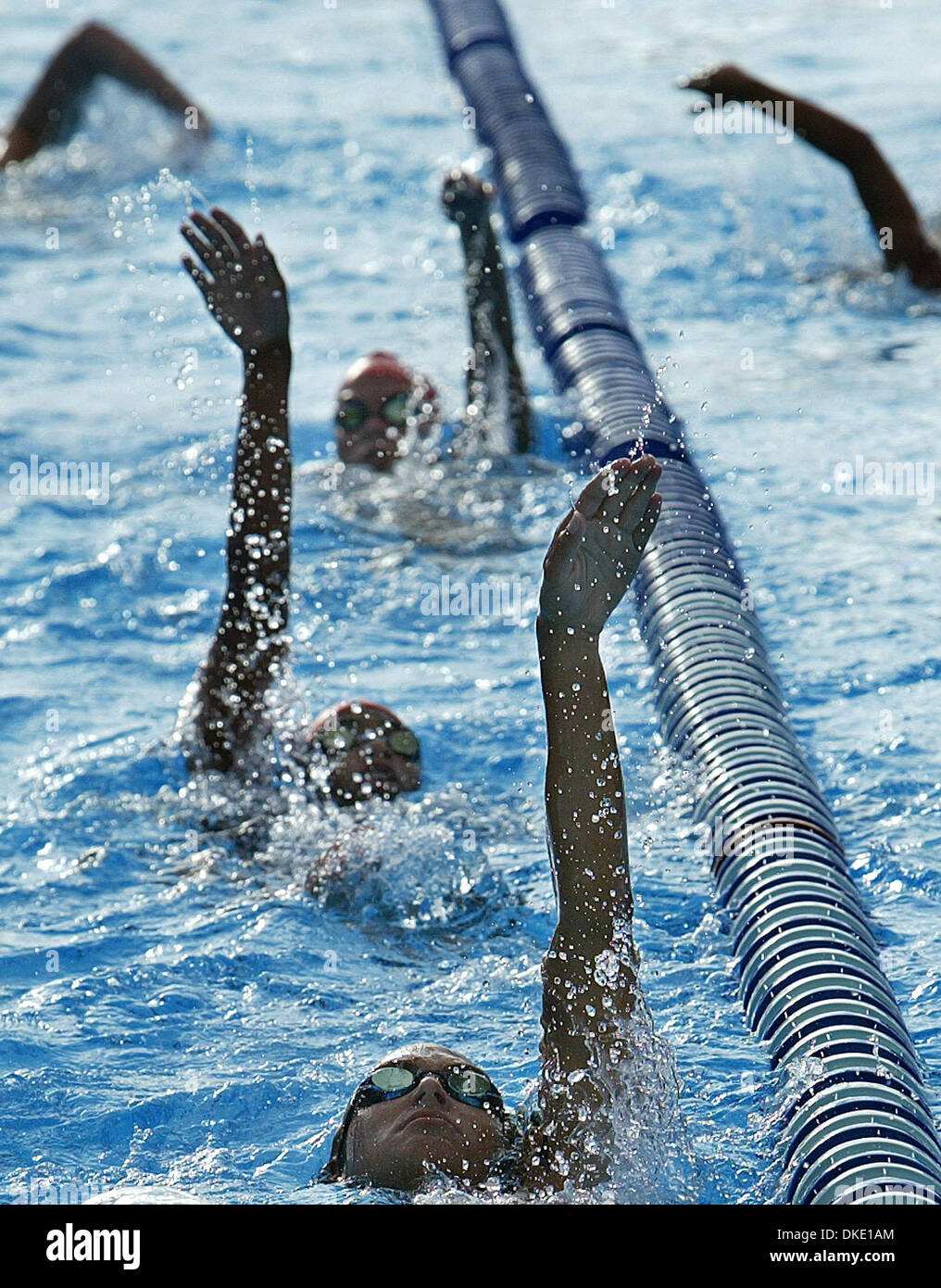 Swim meet warm up hi-res stock photography and images - Alamy