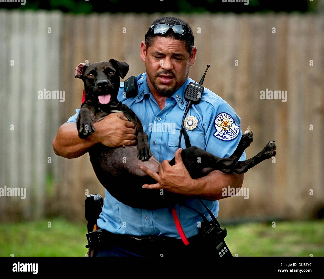 Animal of the year 2007 hi-res stock photography and images - Alamy