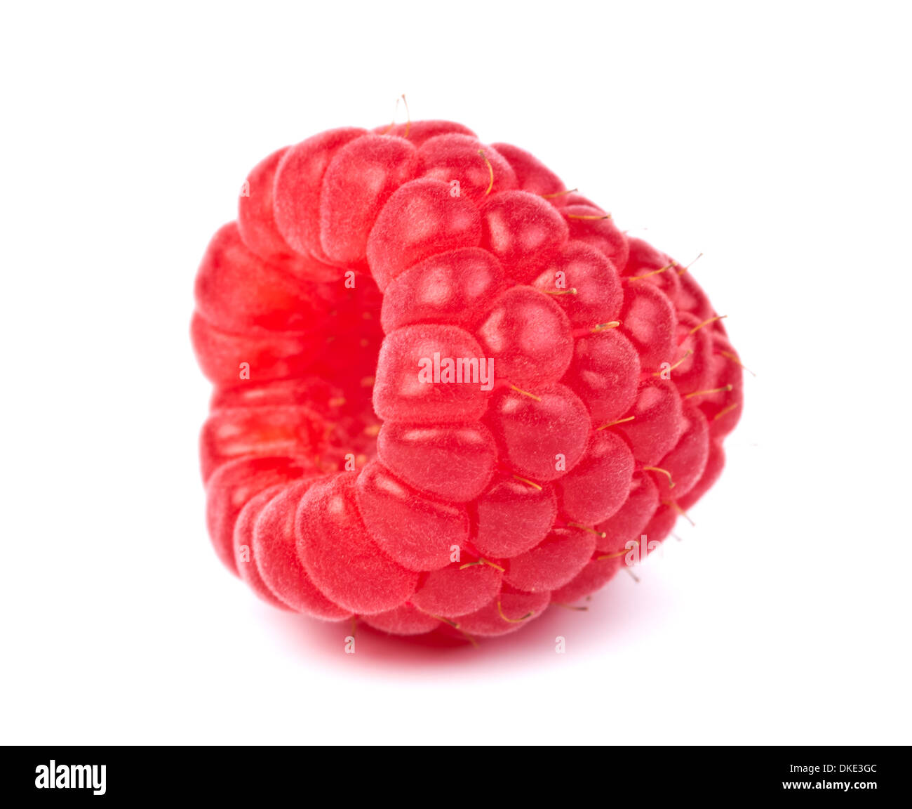 Raspberry plant detail Cut Out Stock Images & Pictures - Alamy