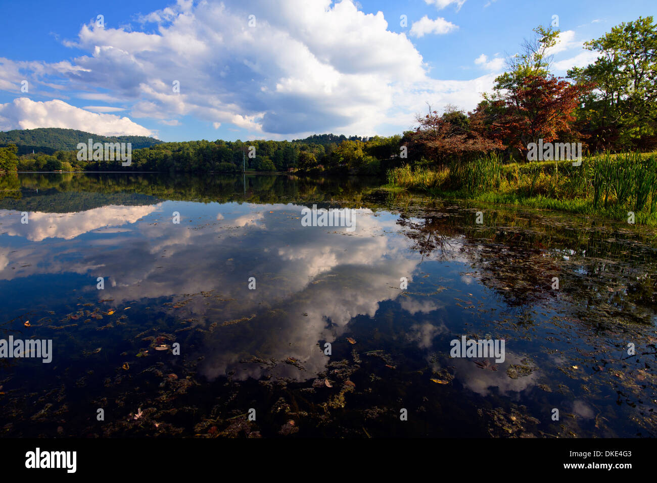 Lake lined with trees reflecting in water hi-res stock photography and ...