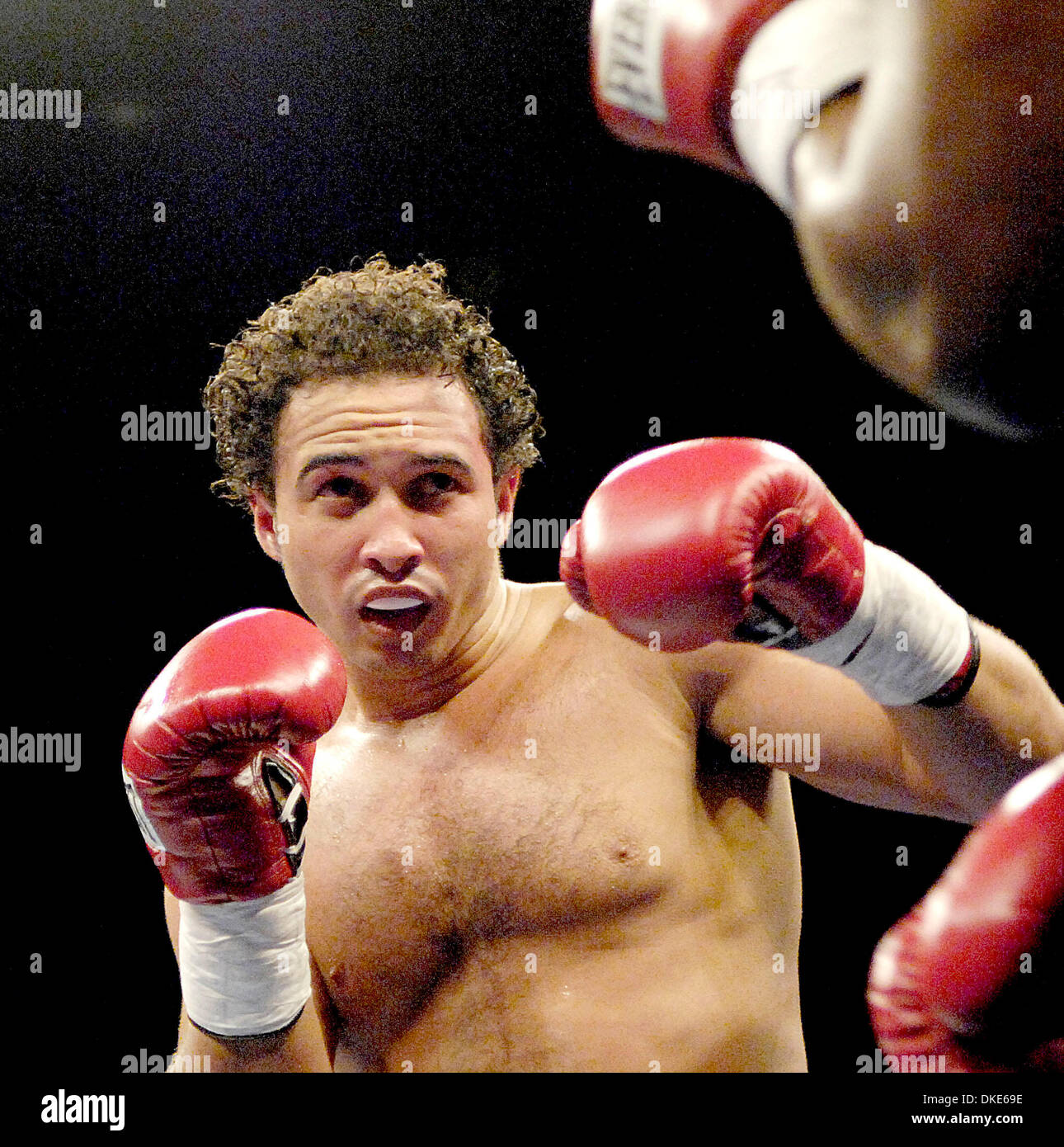 Freddy 3 1 jpg hi-res stock photography and images - Alamy