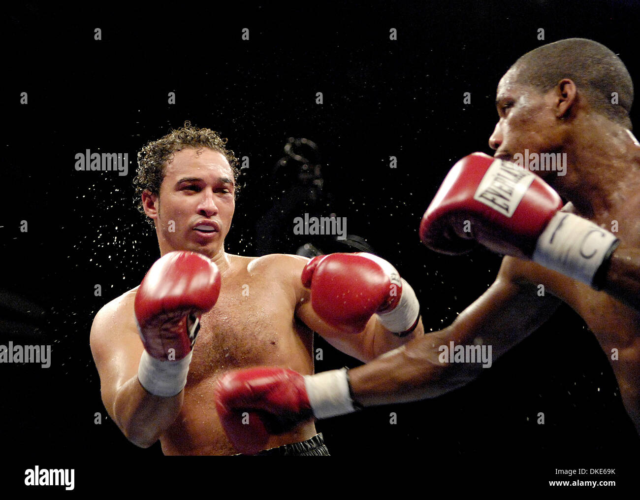 Freddy 1 1 jpg hi-res stock photography and images - Alamy