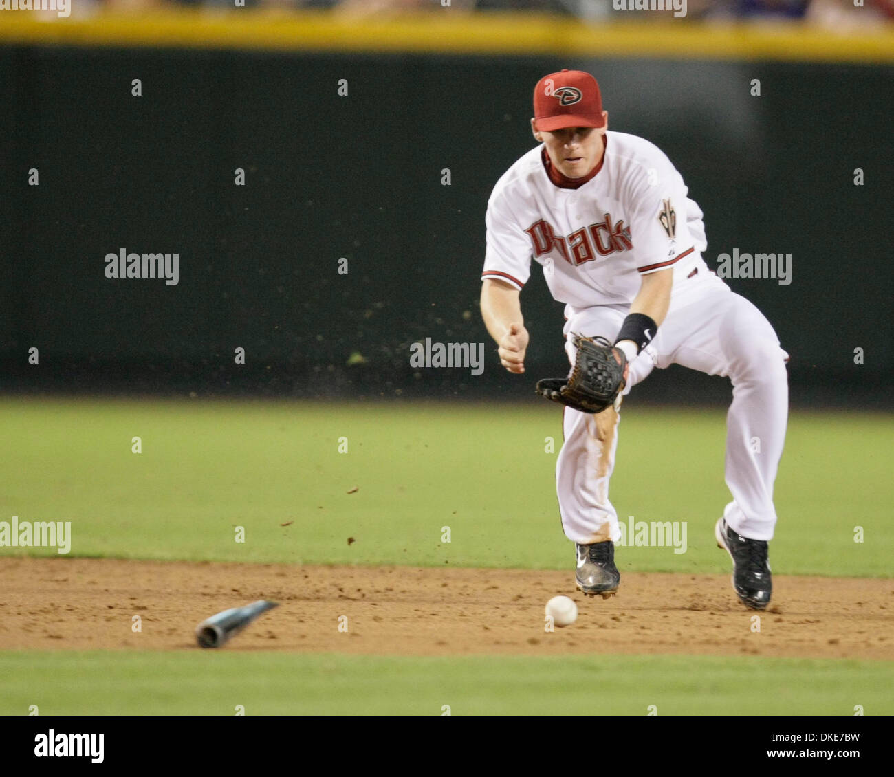 Fighting diamondbacks hi-res stock photography and images - Alamy