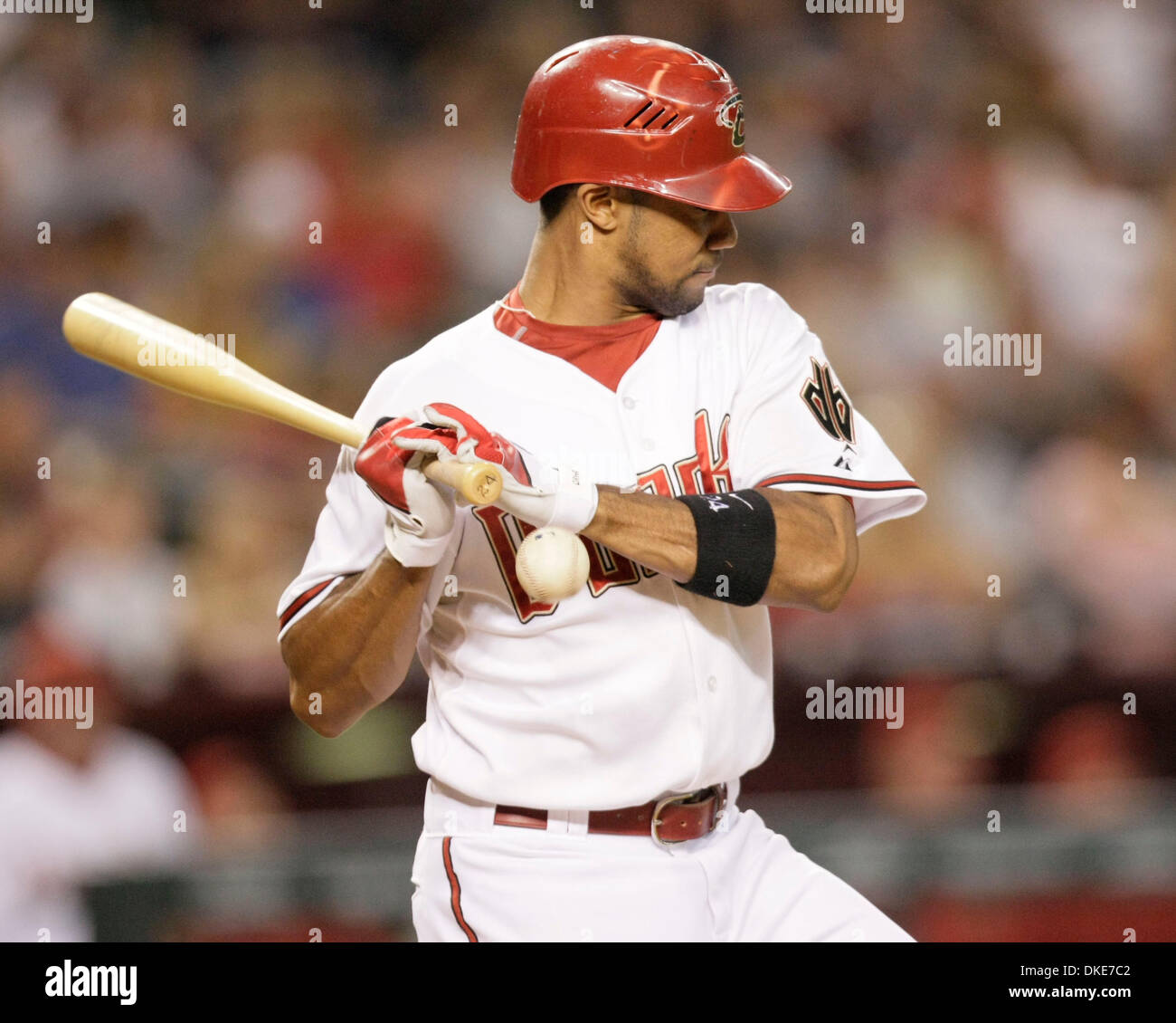 Fighting diamondbacks hi-res stock photography and images - Alamy