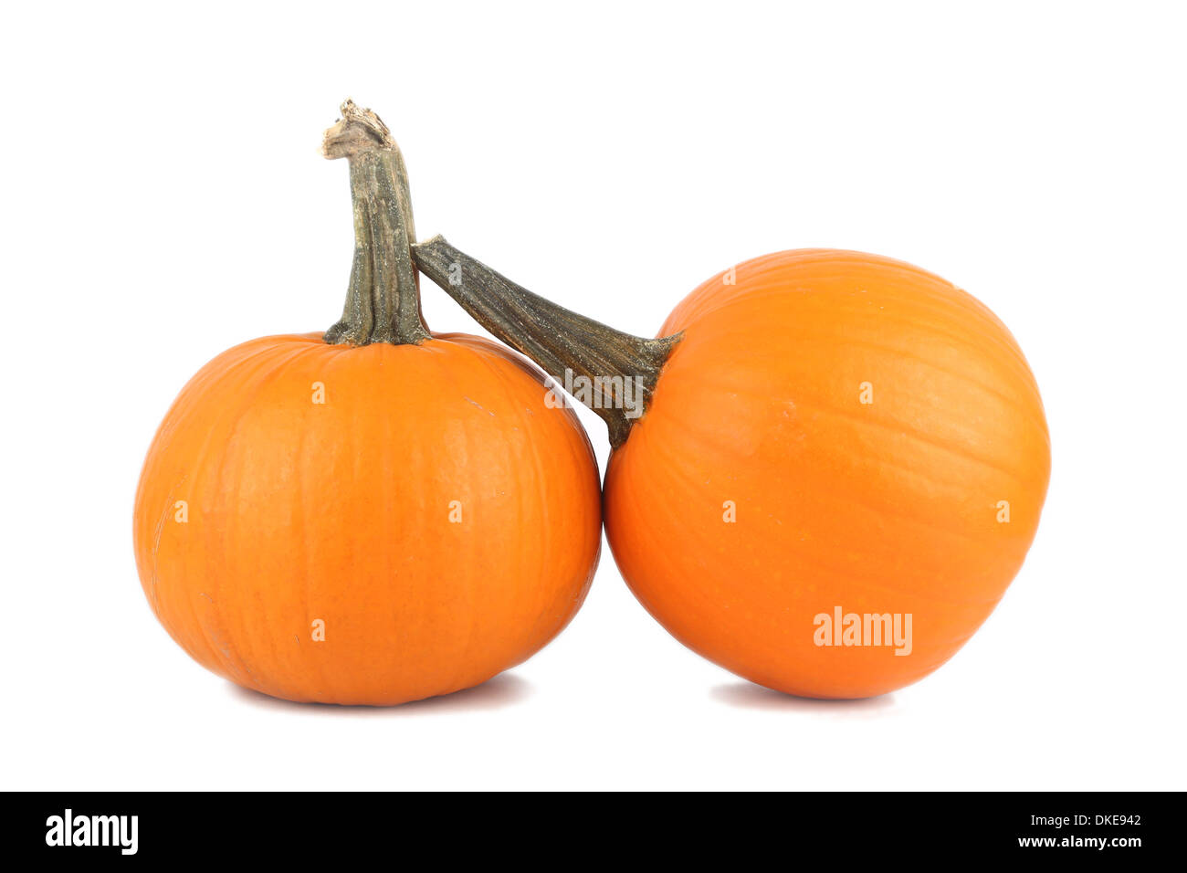 Thanksgiving background pumpkins on Cut Out Stock Images & Pictures - Alamy