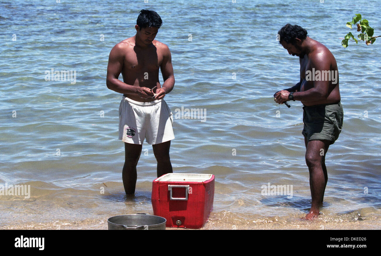 Cleaning mussels clams hi-res stock photography and images - Alamy