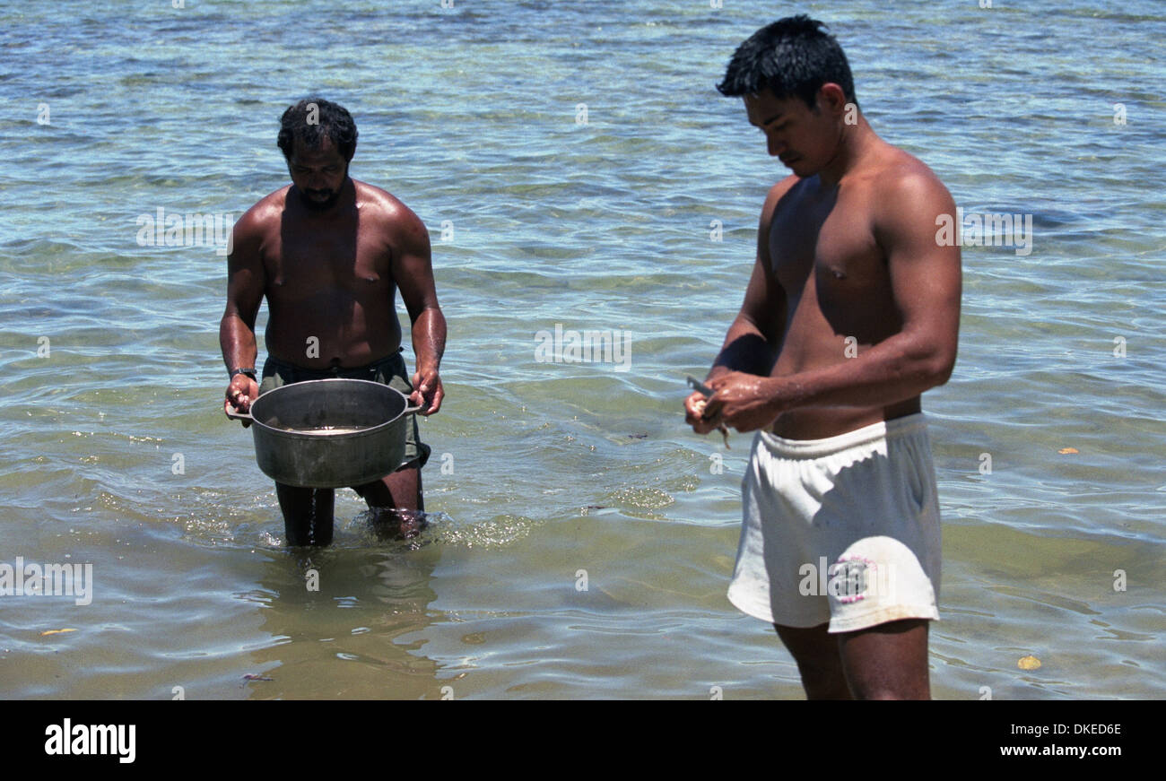 Two men cleaning clams Stock Photo - Alamy