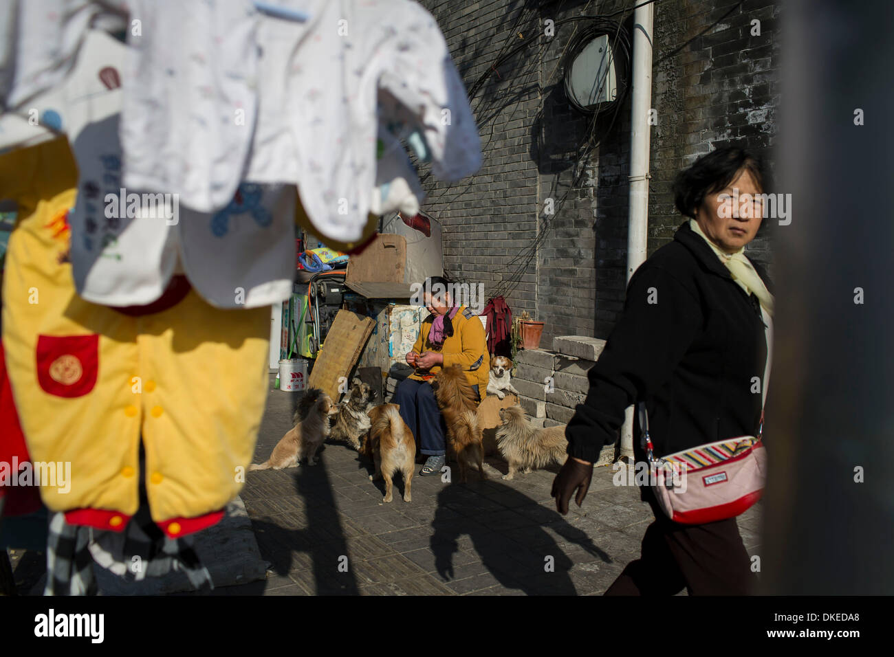 Beijing, China. 1st Dec, 2013. YILAN ZHAO with Dogs outside her home ...