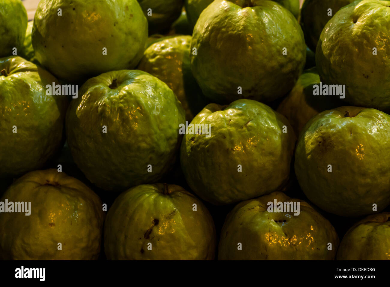 Indian guava fruit hi-res stock photography and images - Alamy