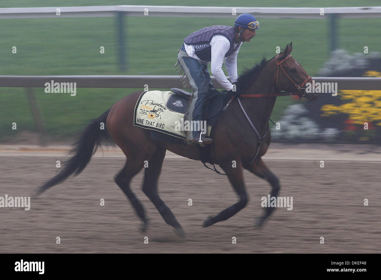 Kentucky derby winner mine bird hi-res stock photography and images - Alamy