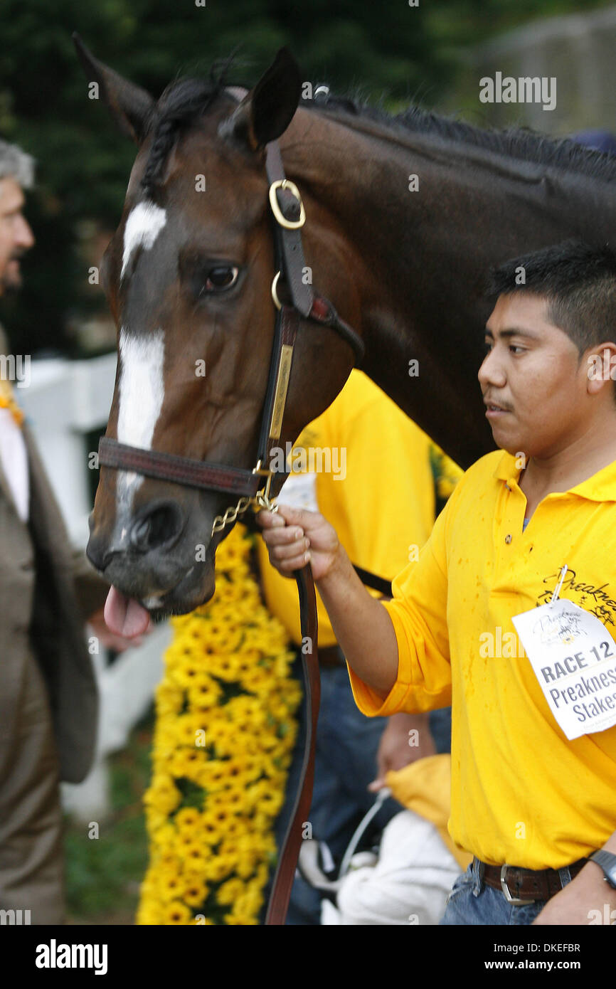 May 16, 2009 - Baltimore, Maryland, USA - Rachel Alexandra is led back ...