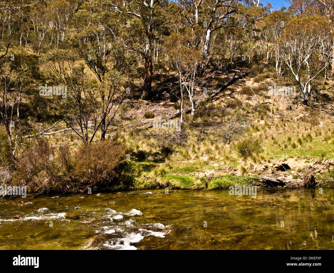 Snowy mountains bush nsw australia hi-res stock photography and images ...