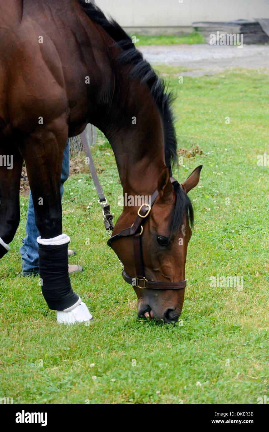 2009 kentucky derby hi-res stock photography and images - Alamy