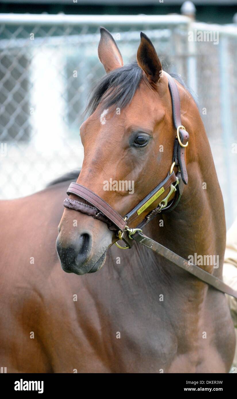 Jun 03, 2009 - Elmont, New York, USA - Kentucky Derby winner MINE THAT ...