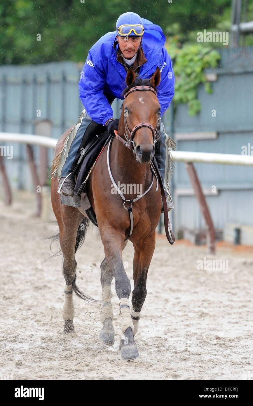 Kentucky derby winner mine bird hi-res stock photography and images - Alamy