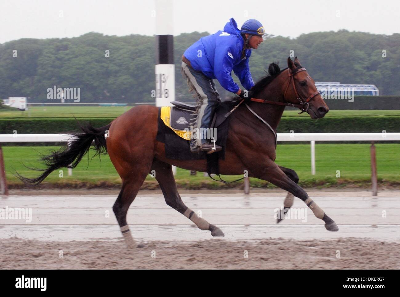 Kentucky derby winner mine bird hi-res stock photography and images - Alamy