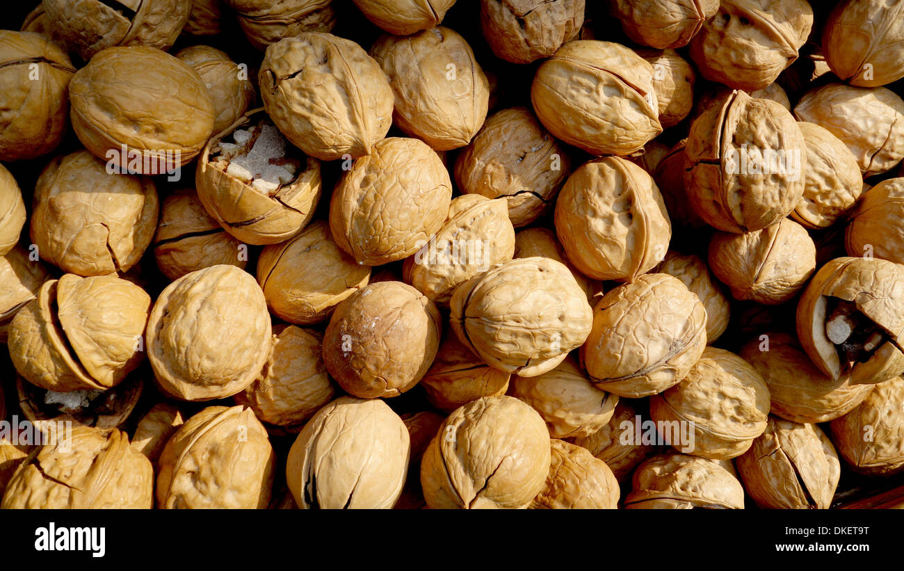 Walnuts in shells Stock Photo - Alamy