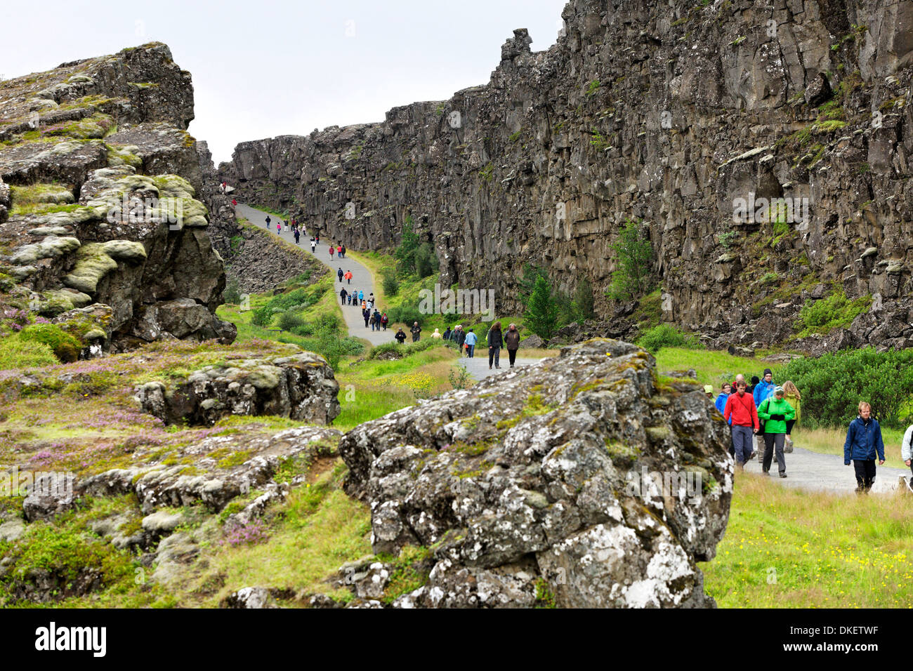 Rift valley, Pingvellir National Park, Iceland Stock Photo - Alamy