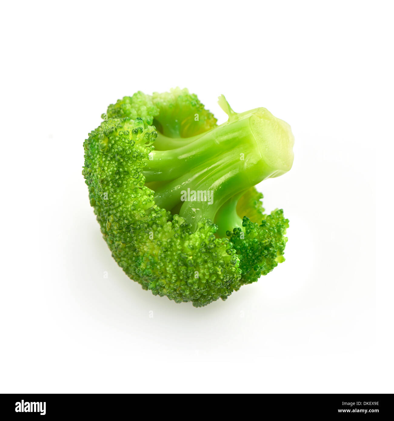 single piece of fresh healthy broccoli isolated on a white background ...