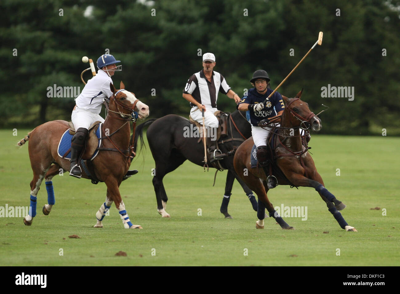 08 August: Tommy Biddle of Heathcote with a hard shot as Great Oaks ...