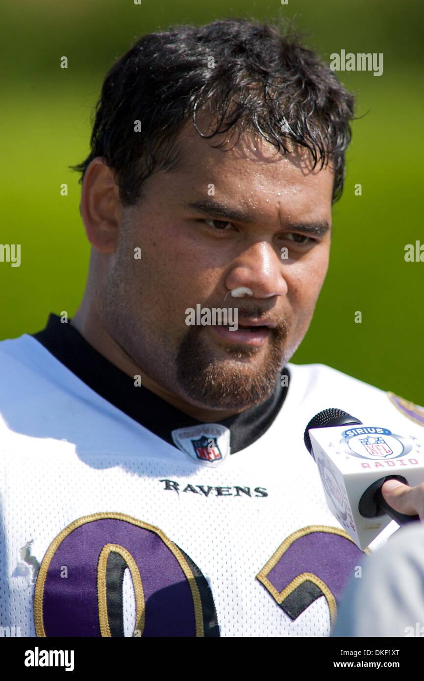 Haloti Ngata Hit