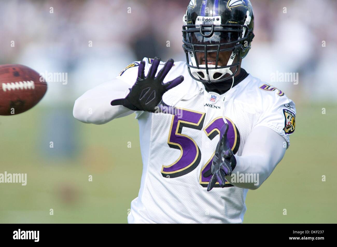 11 Aug. 2009: Baltimore Ravens Linebacker Ray Lewis during the ...