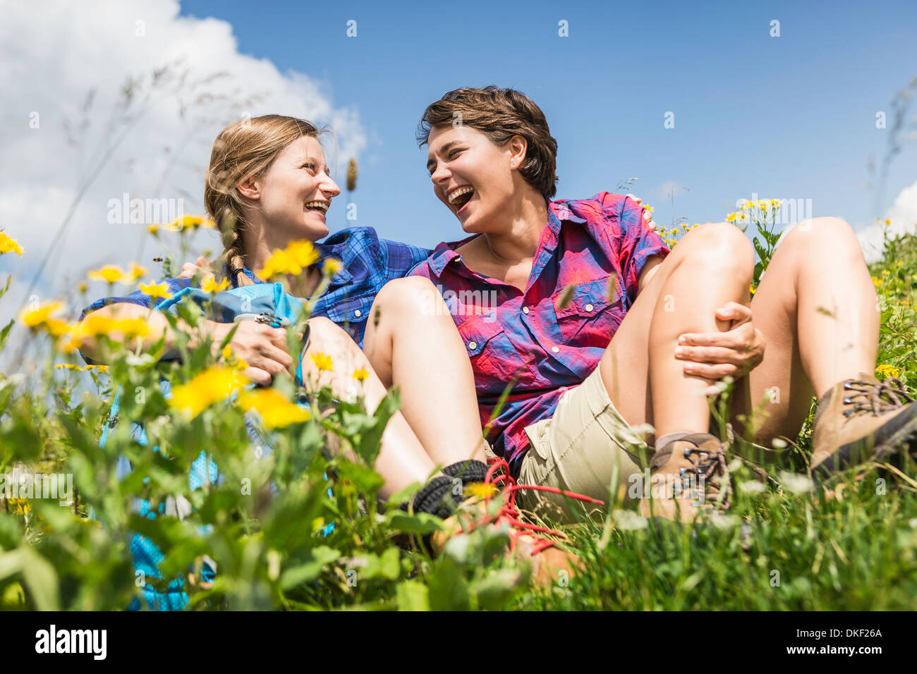 Women sitting in flower field hi-res stock photography and images - Alamy